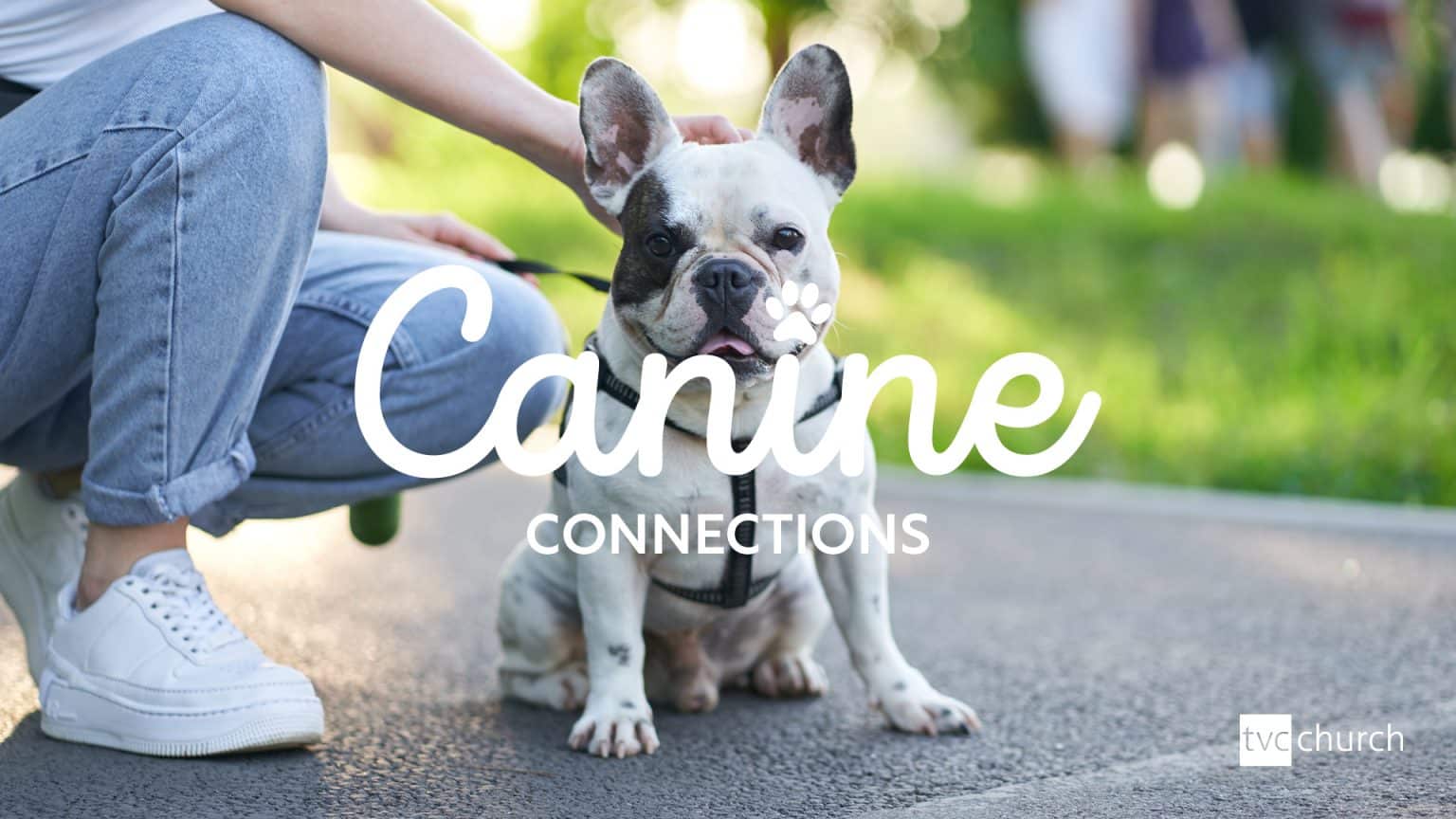 Canine Connections - Tees Valley Community Church